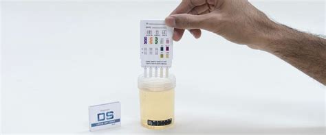 Random Drug Testing At The Workplace All You Need To Know Andatech