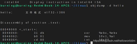 Shellcode编写32位linuxshellcode 32位 Csdn博客