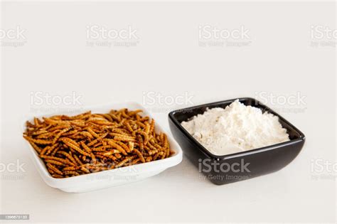 스낵 곤충 갈색 거저리 애벌레는 음식으로 밀가루가 든 그릇 갈색 거저리 갑각류 테네브리오 몰리터 간식을 위해 동결 건조 튀긴