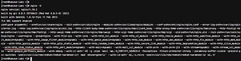 C Mo Monitorizar Nginx Con Netdata En Centos Howtoforge