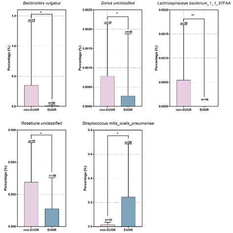 Average Relative Abundance Of Each Kegg Pathways The Relative Levels