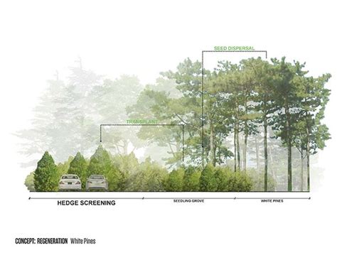 Landscape Diagram Offshoots