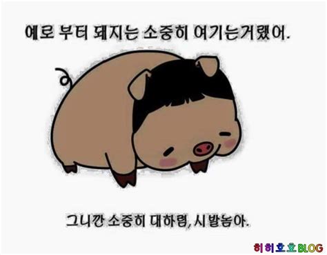 엑셀월드 돼지짤 핑크돼지 짤 너무 귀여워요 네이버 블로그