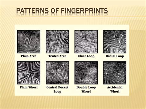 Fingerprints 1uo8z6zpptx