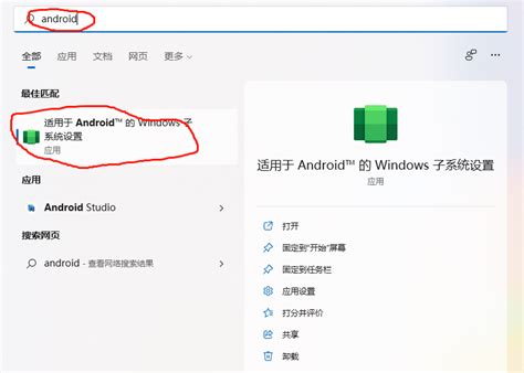 安卓子系统怎么安装apk？win11安装安卓app方法教程 纯净之家