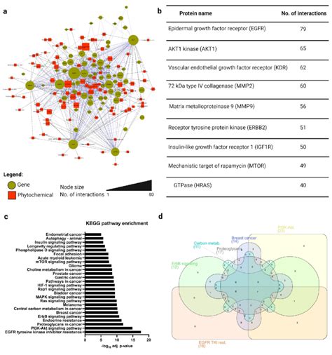 Construction Of The Protein−phytochemical Interaction Network Between