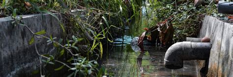 What Is Turbidity In Water 11 Things 2025 You Have To Know