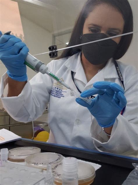 Lab Biología Molecular Senasa