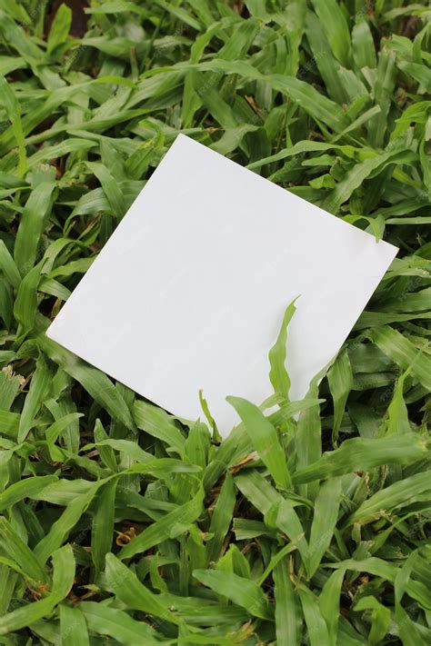 Premium Photo Paper On Grass