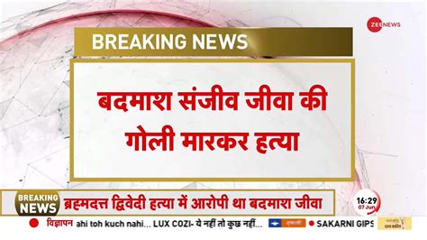 Gangster Sanjeev Maheshwari Alias Jeeva Killed Zee News
