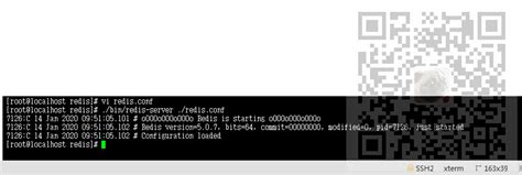 Redis的启动和关闭 前台启动和后台启动 心默默言 博客园