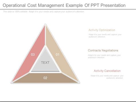 Operational Cost Management Example Of Ppt Presentation