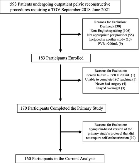 Urogynecology