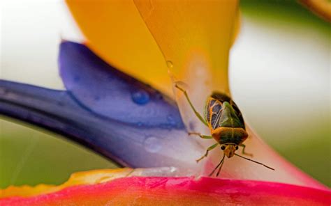 AI Vs Human Who Detects Bugs Better