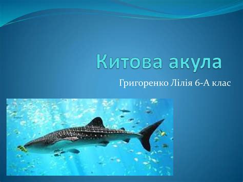 Китова акула Ppt