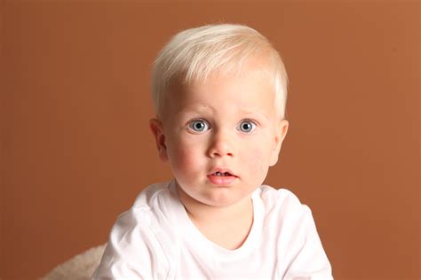 Fox D Mini Models Talent