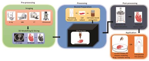 Schematic Illustration For The Process Of 3d Bioprinting Reprinted Download Scientific Diagram
