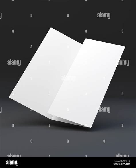 Tri Fold Leaflet A4 Mockup Dl Brochure Dl Flyer 3d Rendering Stock