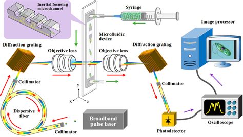schematic of the high throughput optofluidic image cytometer