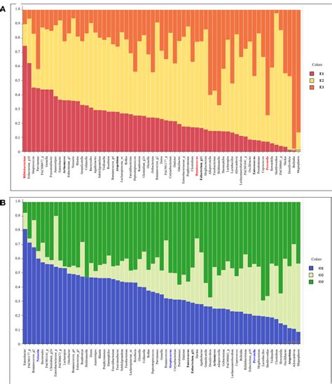 Frontiers Metabolic Pathway Prediction Of Core Microbiome Based On Enterotype And Orotype