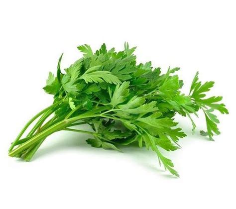 Fresh Celery Online Singapore Buy Fresh Celery Online Singapore