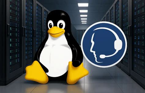 Cómo Crear un Servidor TeamSpeak en tu VPS Paso a Paso