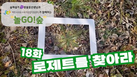 놀go숲 18화 로제트를 찾아라 ㅣ숲체험ㅣ공원놀이ㅣ자연체험ㅣ겨울숲ㅣ자연놀이ㅣ자연친화교육ㅣ제주탐방ㅣ가족ㅣ나들이ㅣ여행ㅣ간단