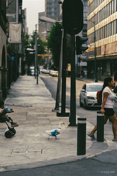 Tumblr City Streets