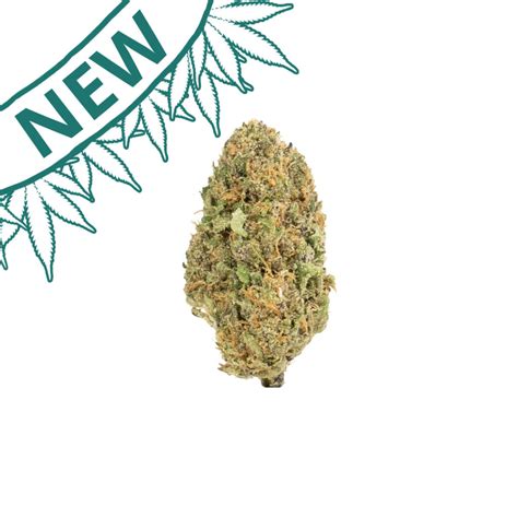 Cheese Thca Flower Light Assist Fern Valley Farms