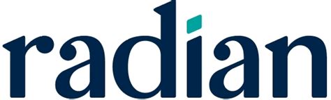 Derek Brummer To Head Radians Mortgage Business