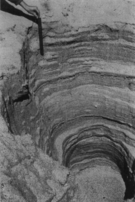 The Sand Profile In Moss Landing Beach From A Pit To The Depth Of 2 M