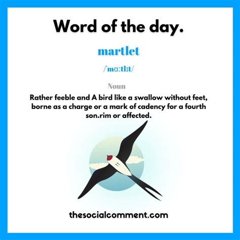 Soco On Linkedin Wordoftheday Vocabulary English Words Word