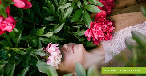 Some Research On Olfactory Benefits Of Aromatherapy The School Of