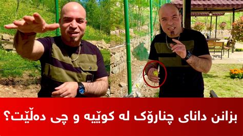 بزانن دانای چنارۆک لە کوێیە و چی دەڵێت؟ بزانن دانای چنارۆک لە کوێیە و چی دەڵێت؟ By ‎مەلیک‎