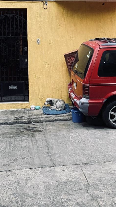 HELAMORE on Twitter RT mendozac d Buenos días SSC CDMX este