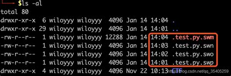 Vim编辑器异常退出产生备份文件 Csdn博客