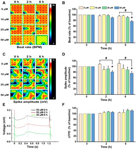 Non Cytotoxic Concentrations Of Zno Nps Induced Electrophysiological