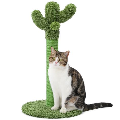 Cactus Cat