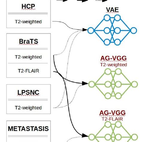 Illustration Of The Experimental Settings Download Scientific Diagram