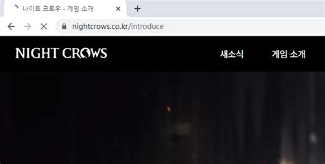 夜鸦韩服游戏官网Night Crows夜鸦韩服下载 汉化翻译入坑攻略 哔哩哔哩