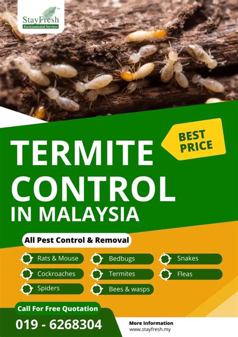 Termite Control Mont Kiara ⭐ View Services And Price 2024