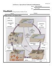 Understanding Igneous Rocks In Geology Lab Course Hero