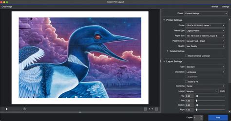 Epson Print Layout An Overview Photopxl