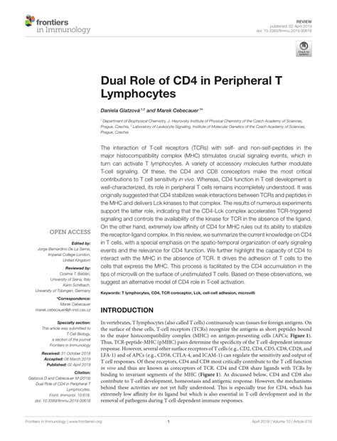 Pdf Dual Role Of Cd4 In Peripheral T Lymphocytes