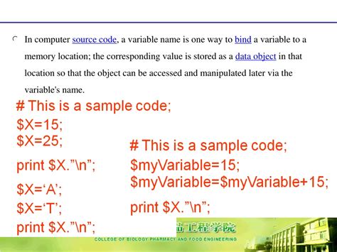 Ppt Introduction To Perl Programming Powerpoint Presentation Free Download Id9222057