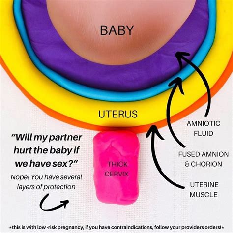 Feetal Hospital Feetalhospital • Instagram Photos And Videos