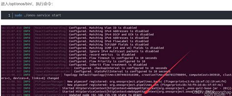 Ubuntu24onosmininet（sdn模拟）ubuntu2404安装mininet Csdn博客