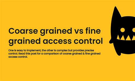 Coarse Grained Vs Fine Grained Access Control Cerbos