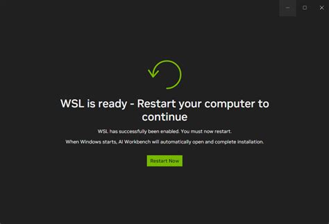 Another Case Of Failed Nvidia Ai Workbench Installation Nvidia Ai