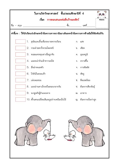ใบงานป สื่อวิทยาศาสตร์เพื่อการเรียนรู้ By Krunuch Nusara
